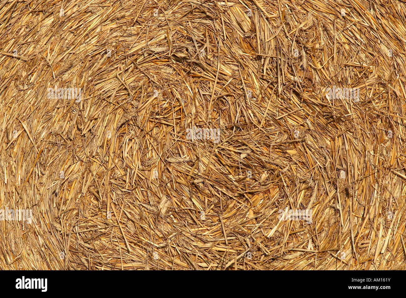 Detail of a straw bale Stock Photo - Alamy