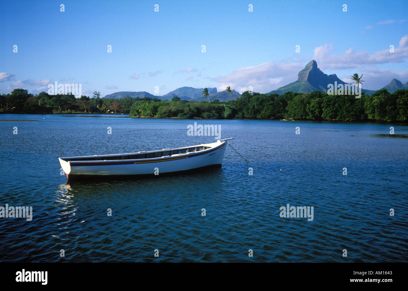 Tamaran hi-res stock photography and images - Alamy