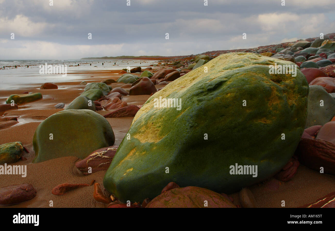 Colourful wet stones on beach hi-res stock photography and images - Alamy