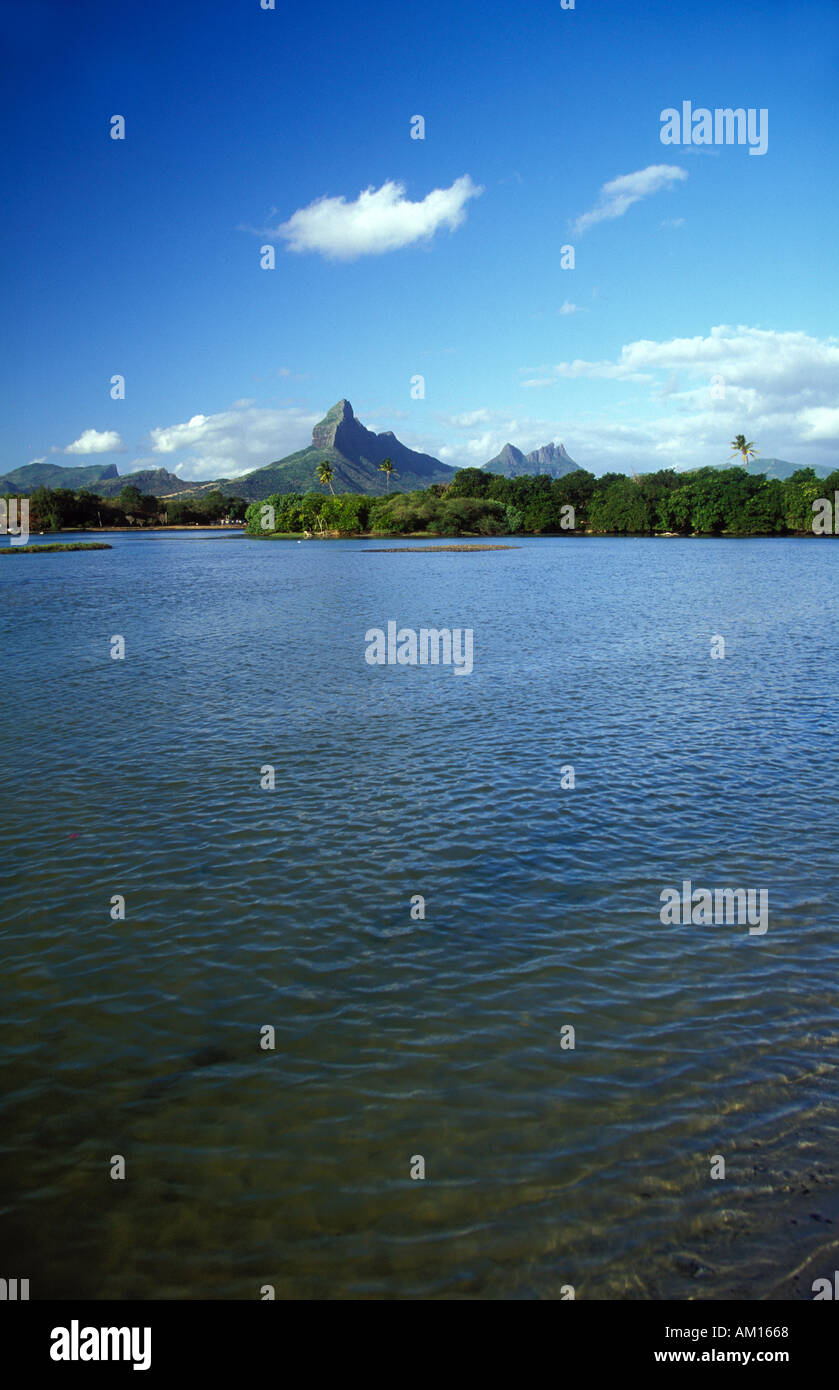 Tamaran hi-res stock photography and images - Alamy