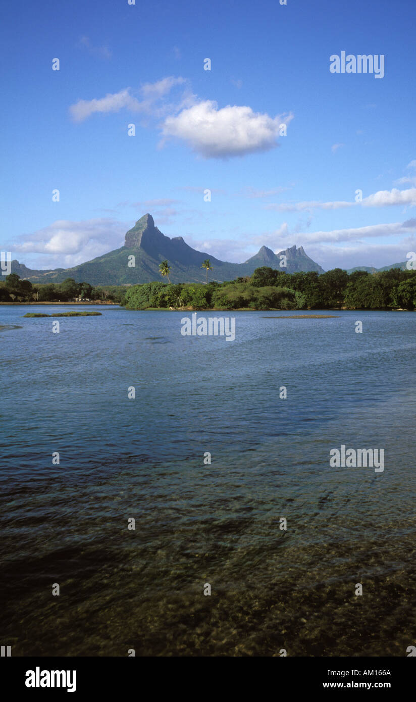 Tamaran hi-res stock photography and images - Alamy