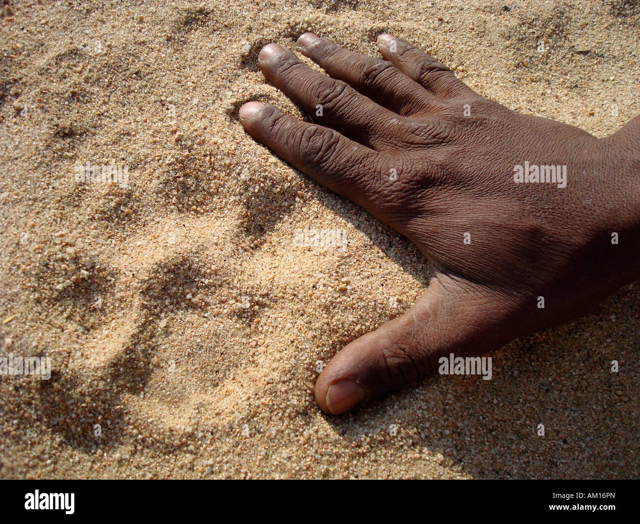 Leopard track, Okomitundu Game Farm, Wilhelmstal, Namibia Stock Photo ...