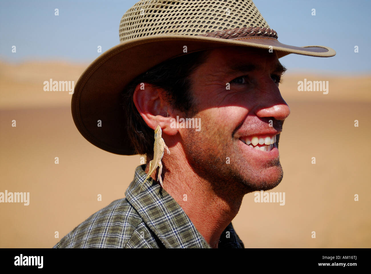 Shovel Snouted Lizard/Sand Diving Lizard bites a man in his ear, Namib ...