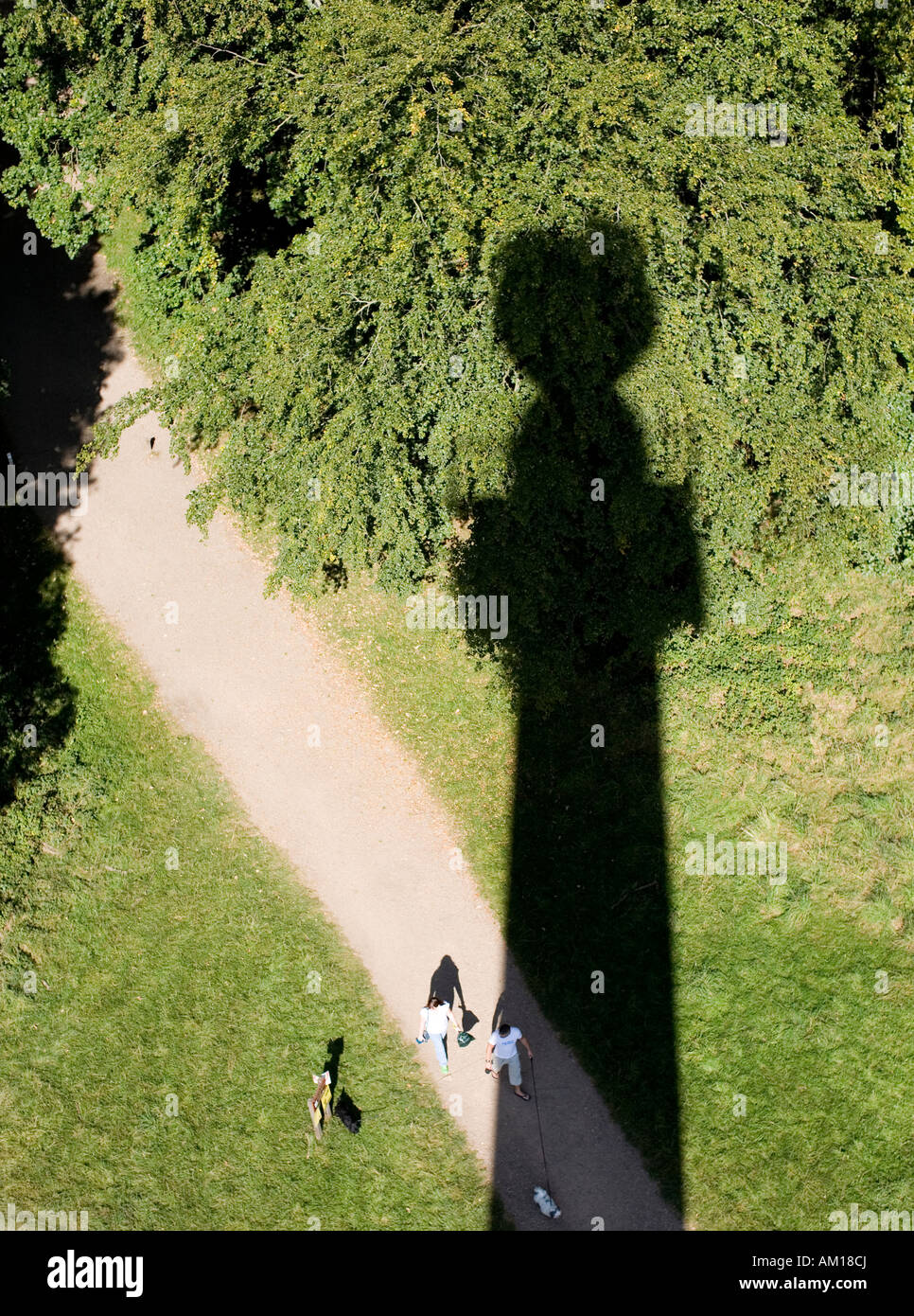 The monument ashridge hi-res stock photography and images - Alamy