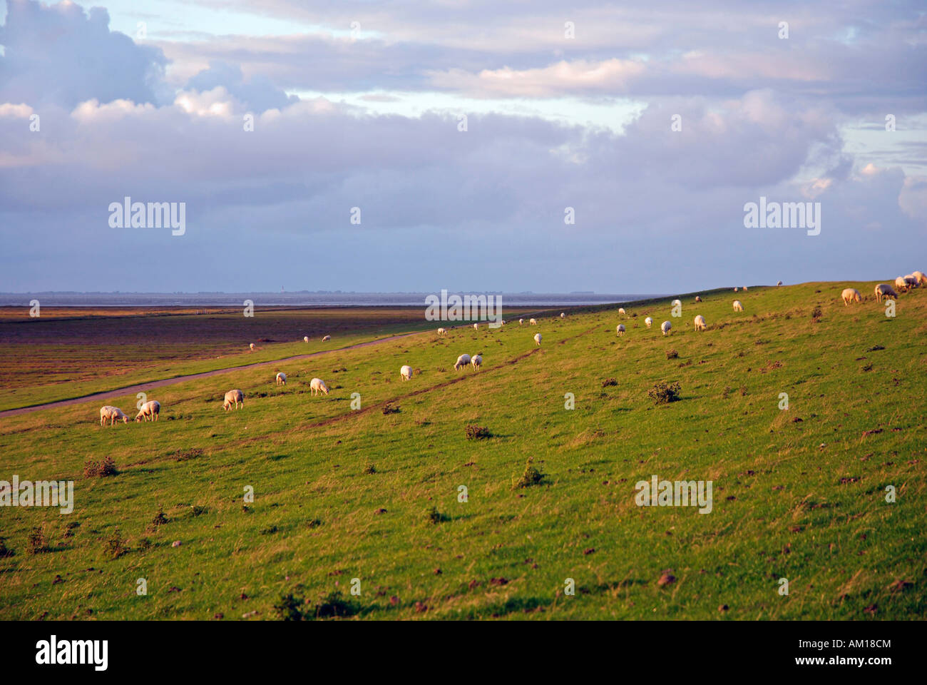 Schlesweig holstein hi-res stock photography and images - Alamy
