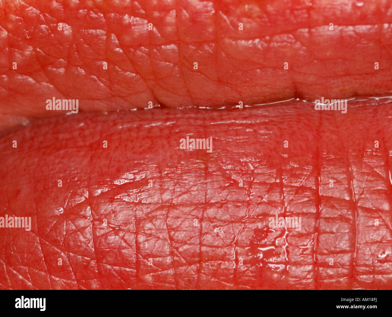 Extreme close-up of human lips Stock Photo - Alamy