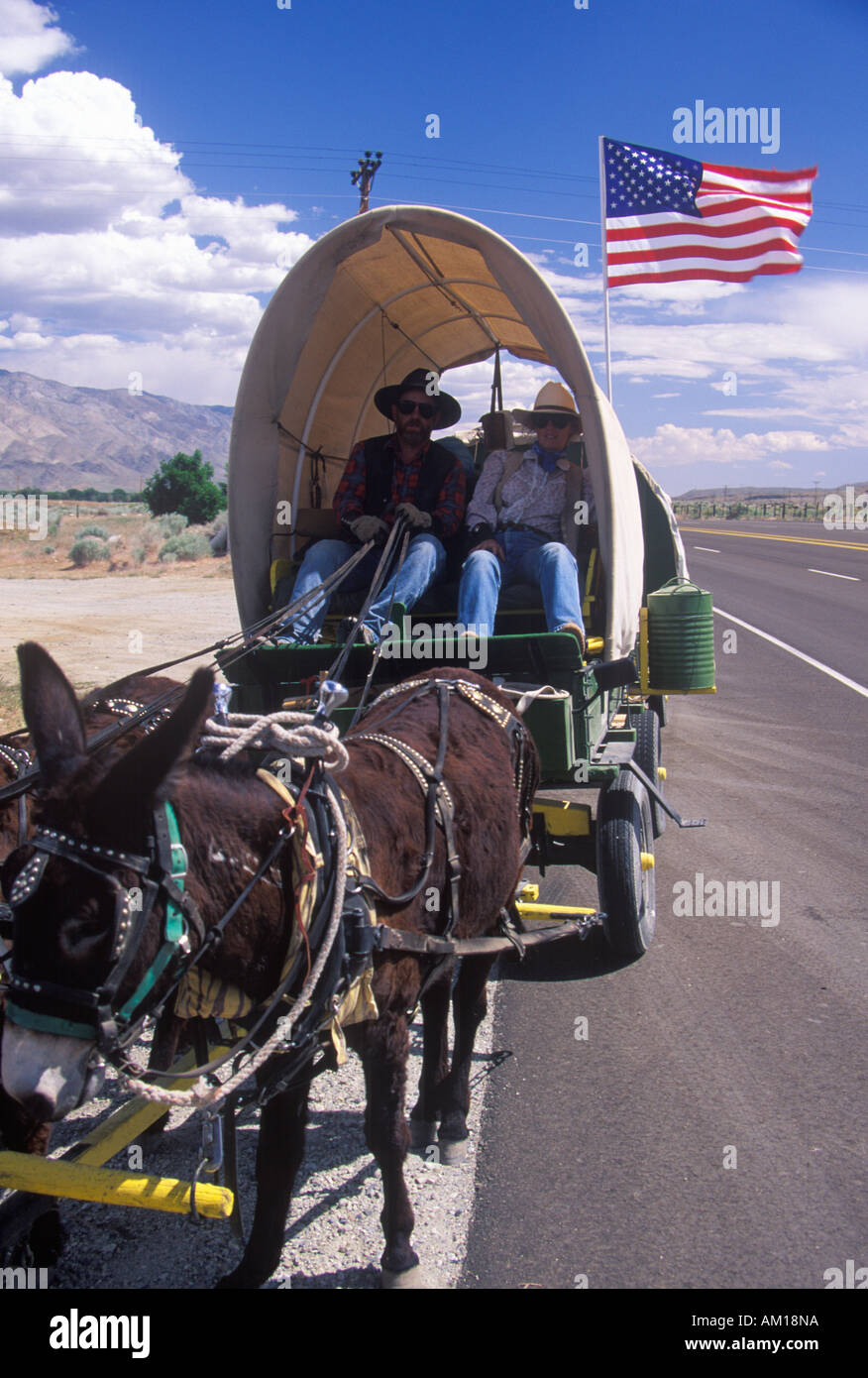 Mule wagon hi-res stock photography and images - Alamy