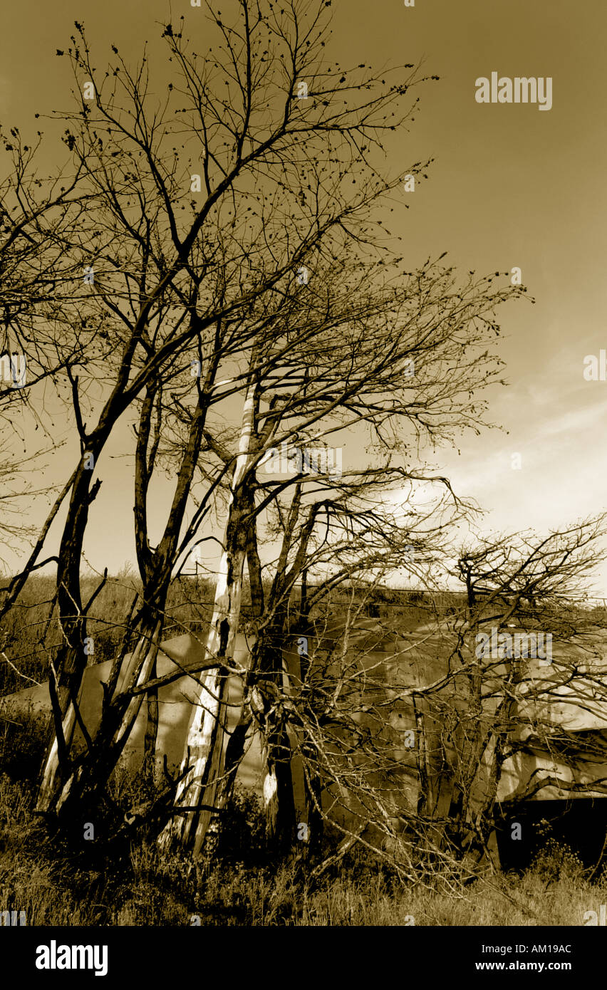 Horizontal toned black and white image of the remains of Battery ...