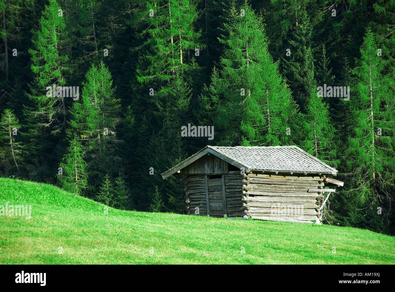 Cabin barn on a meadow in Stubai Valley, Tyrol, Austria Stock Photo - Alamy