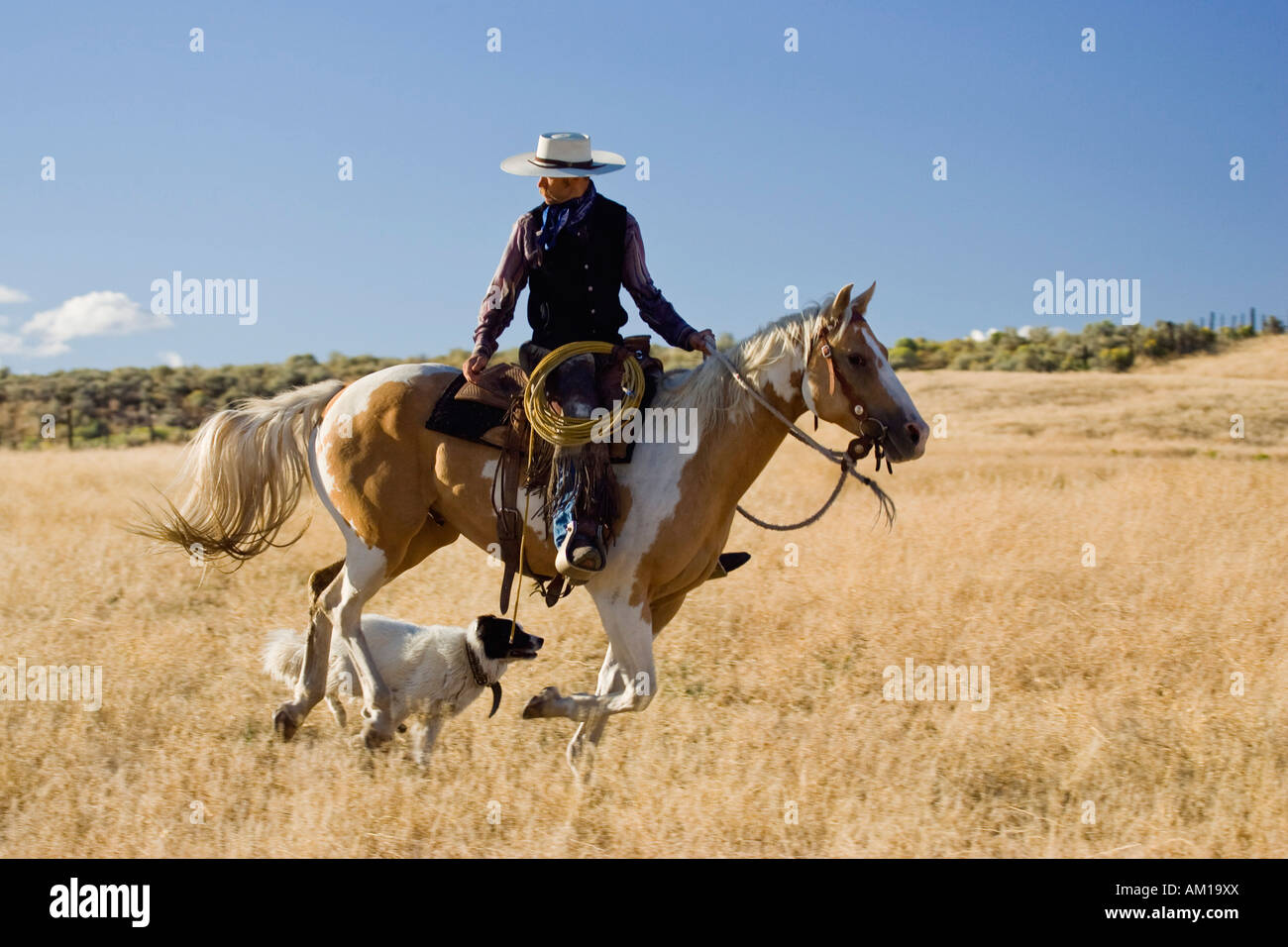 Zuruckschauen hi-res stock photography and images - Alamy