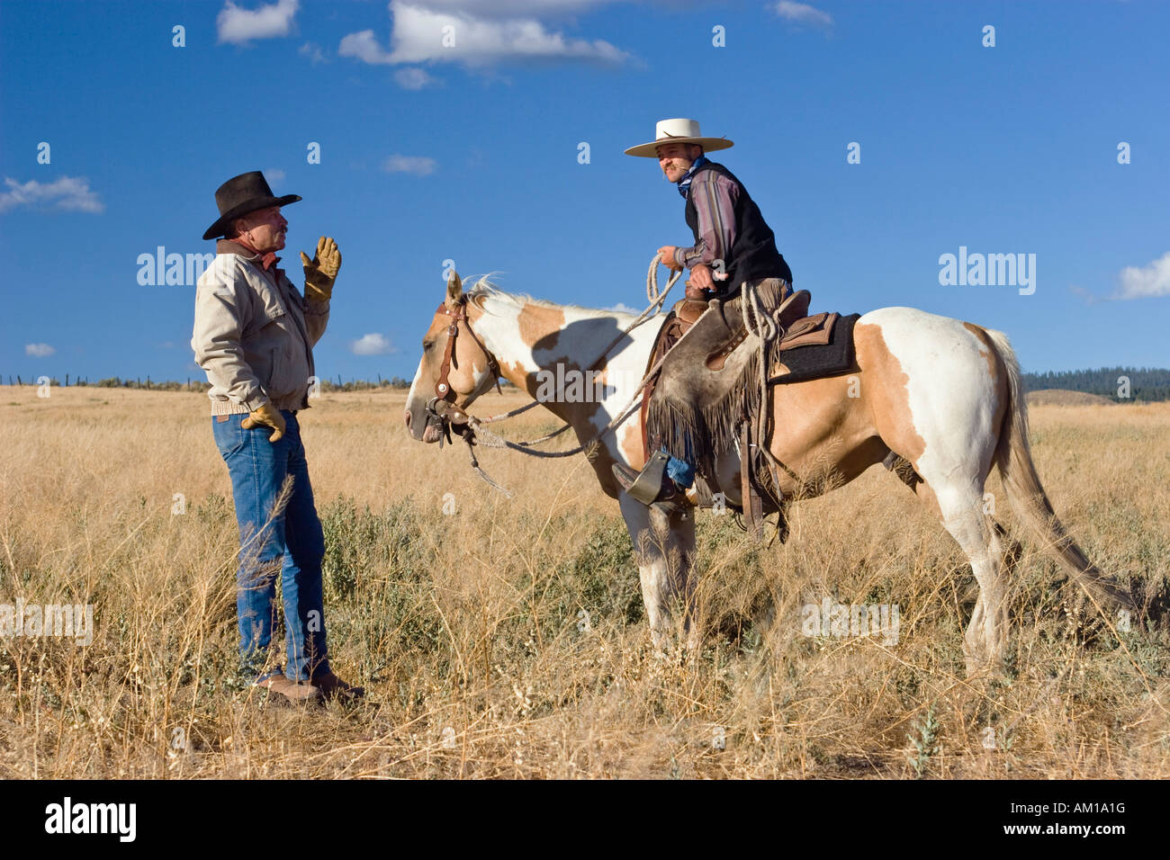 Talking horse man hi-res stock photography and images - Alamy