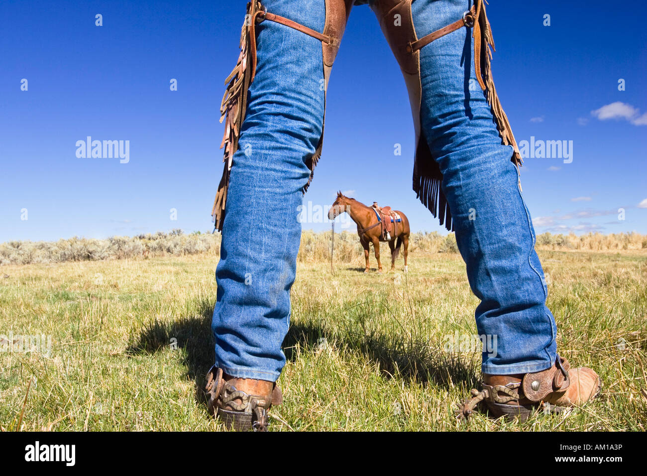 View through cowboy's legs on horse, wildwest, Oregon, USA Stock Photo ...