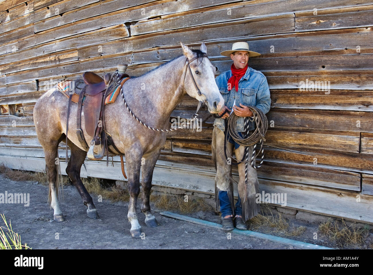 Cowboy with horse, wildwest, Oregon, USA Stock Photo - Alamy