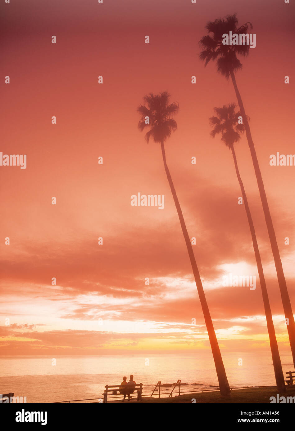 Couple sitting on bench under palm trees at sunset in Laguna Beach ...