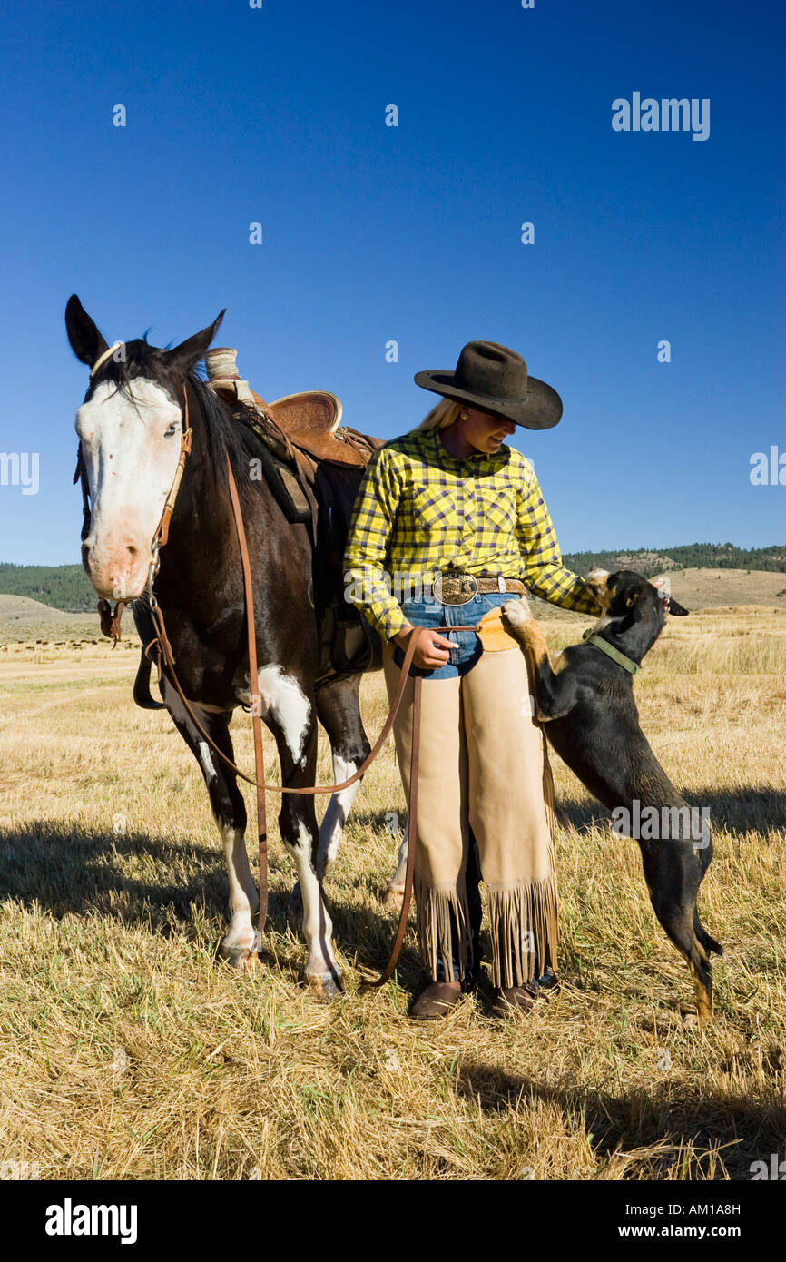 Dog Riding Horse High Resolution Stock Photography and Images - Alamy
