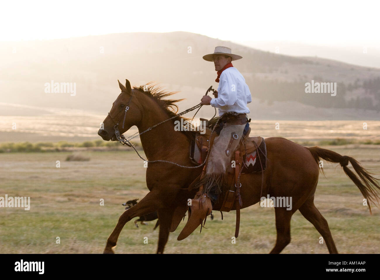 Cowboy riding, Oregon, USA Stock Photo - Alamy