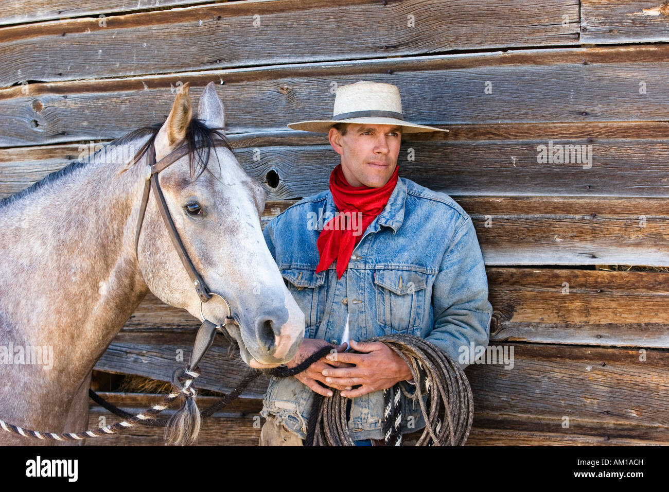 Cowboy with horse at barn, wildwest, Oregon, USA Stock Photo - Alamy