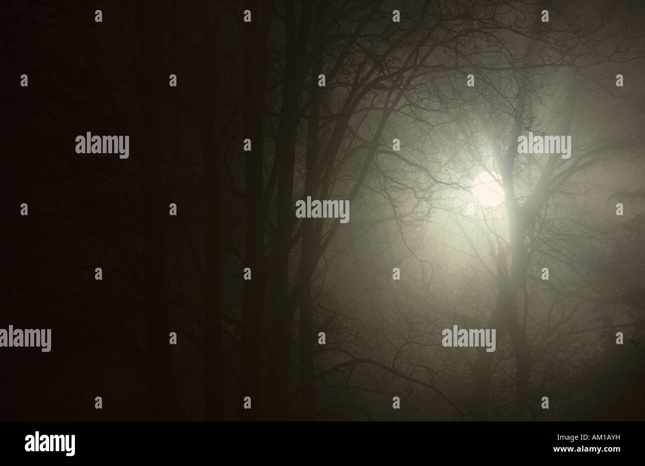 Autumnal sunrise through the mist, Germany Stock Photo - Alamy