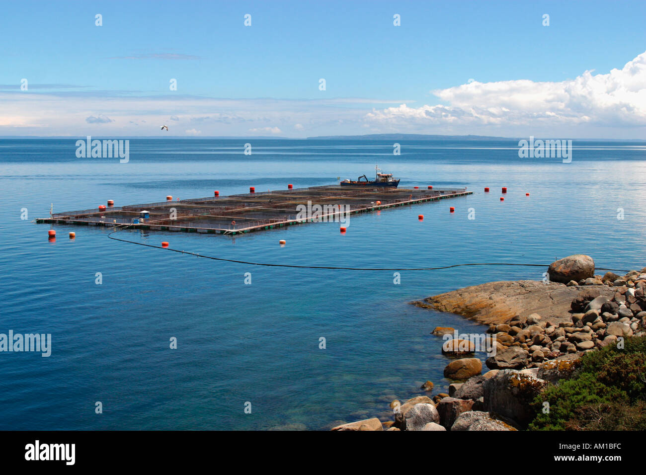 Salmon Farming Aquaculture Chile High Resolution Stock Photography and ...