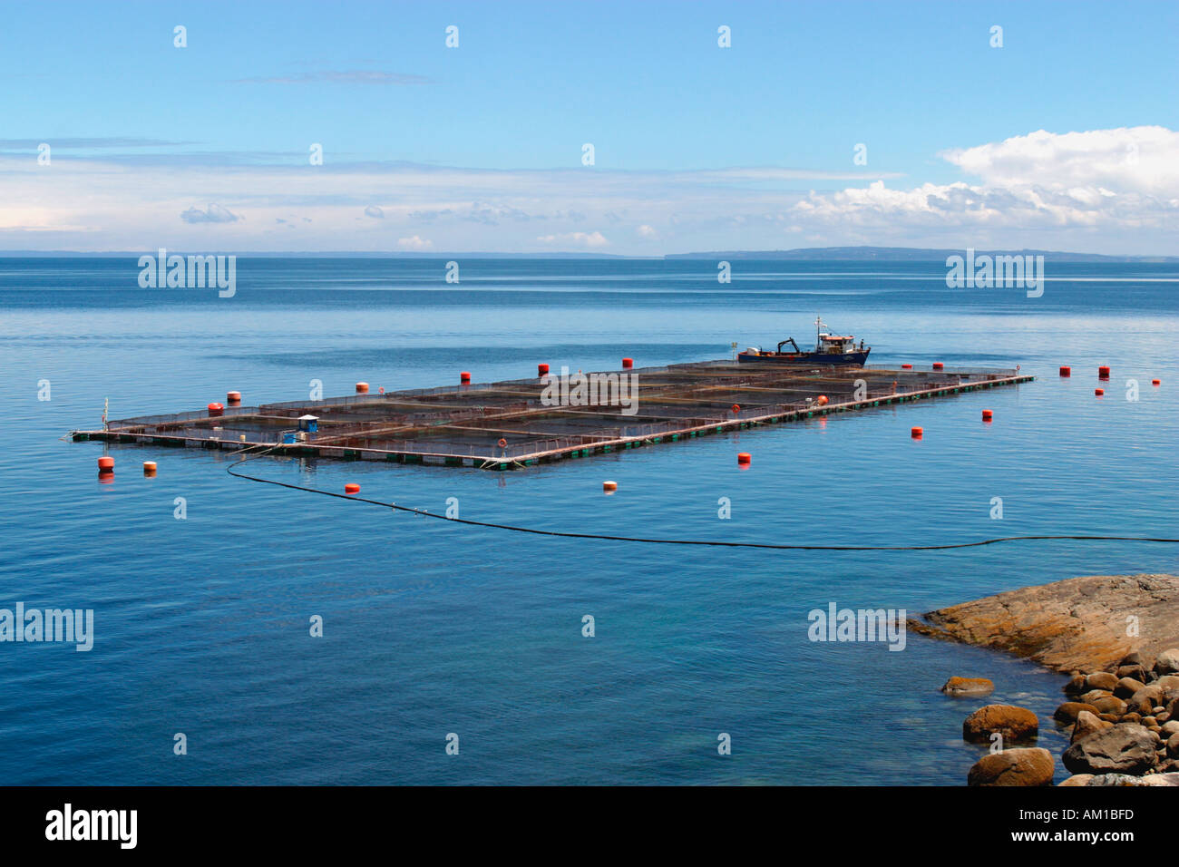 Salmon Fish Farm off coast near Puerto Montt Chile Stock Photo - Alamy