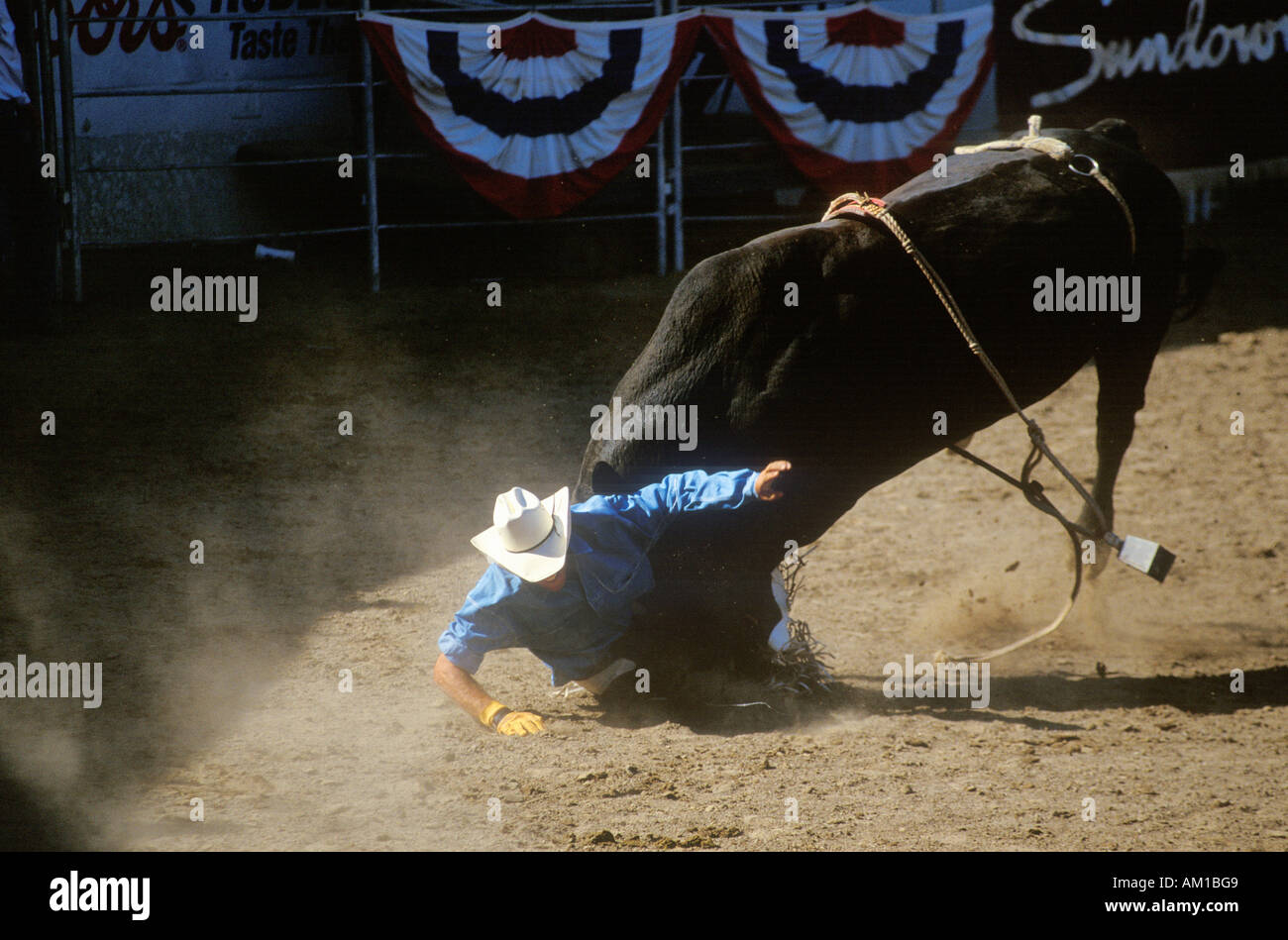 Bull Riding Earl Warren Fairgrounds Fiesta Rodeo Stock Horse Show Santa ...