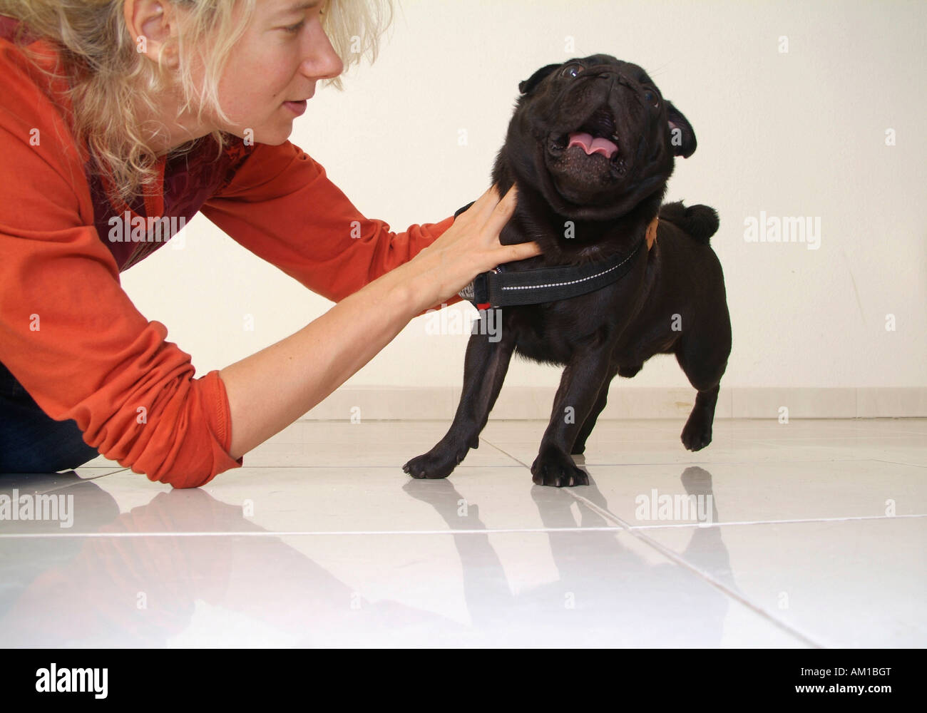 Woman with a black pug Stock Photo - Alamy