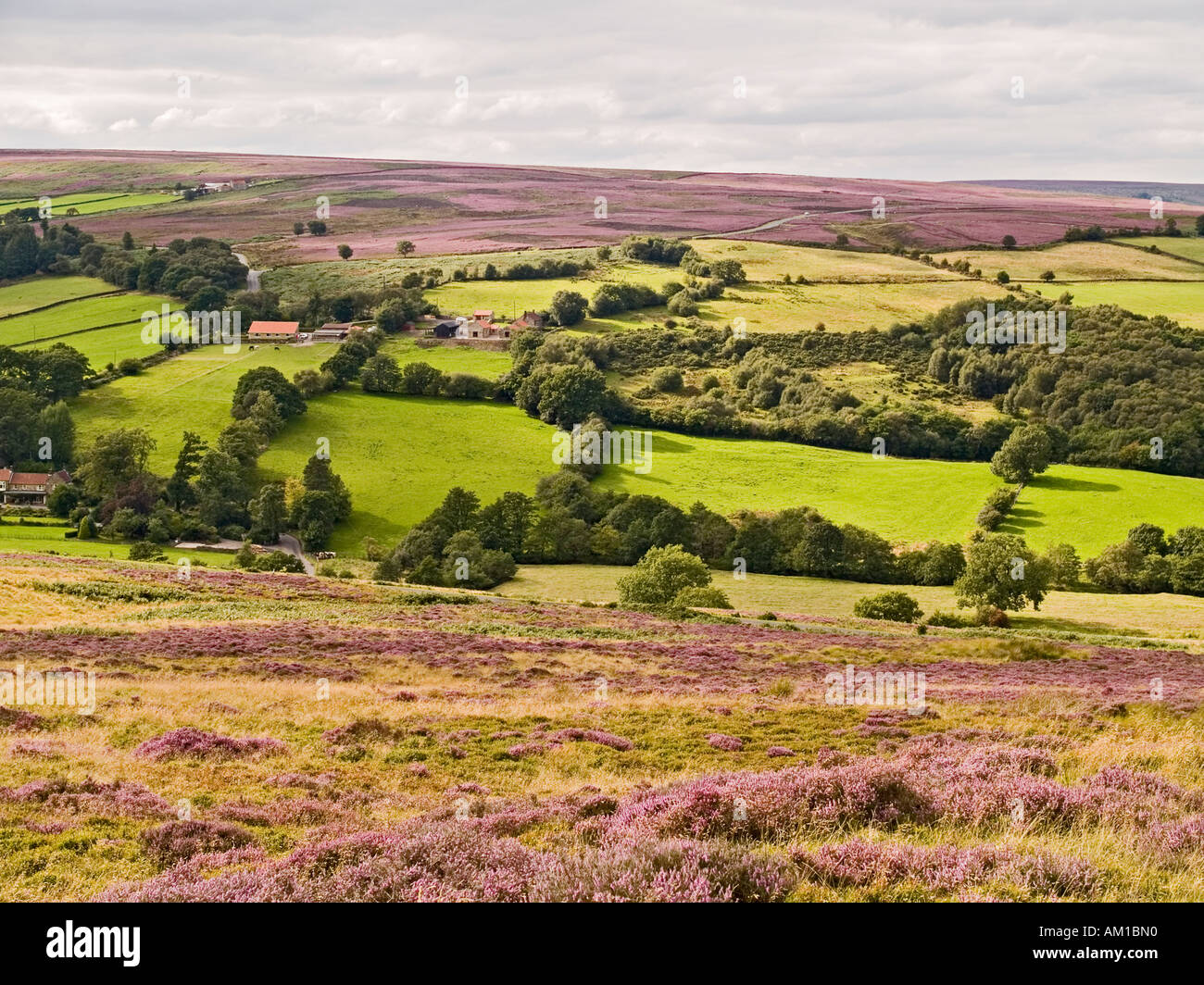 A farm in heather covered hills at Castleton in the North Yorkshire ...
