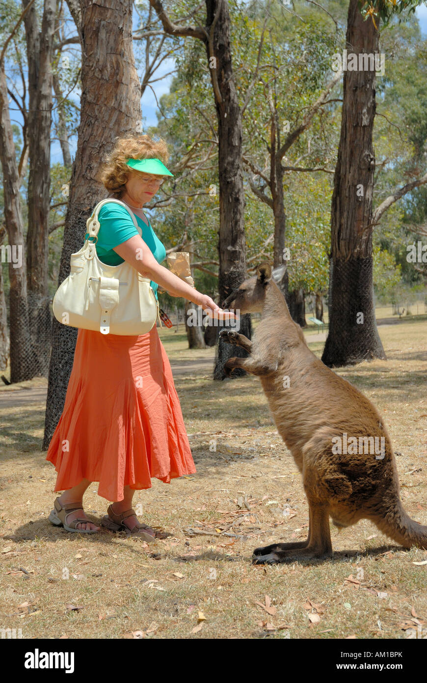 Cleland wildlife park hi-res stock photography and images - Alamy