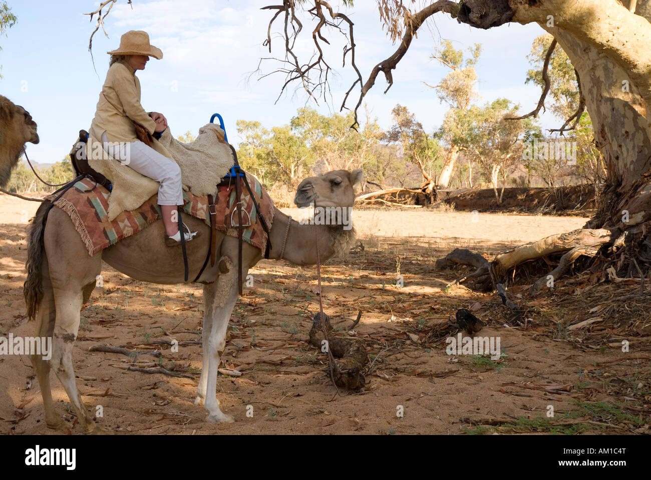 Writer Christine Graefin von Pahlen, camel safari, Alice Springs ...