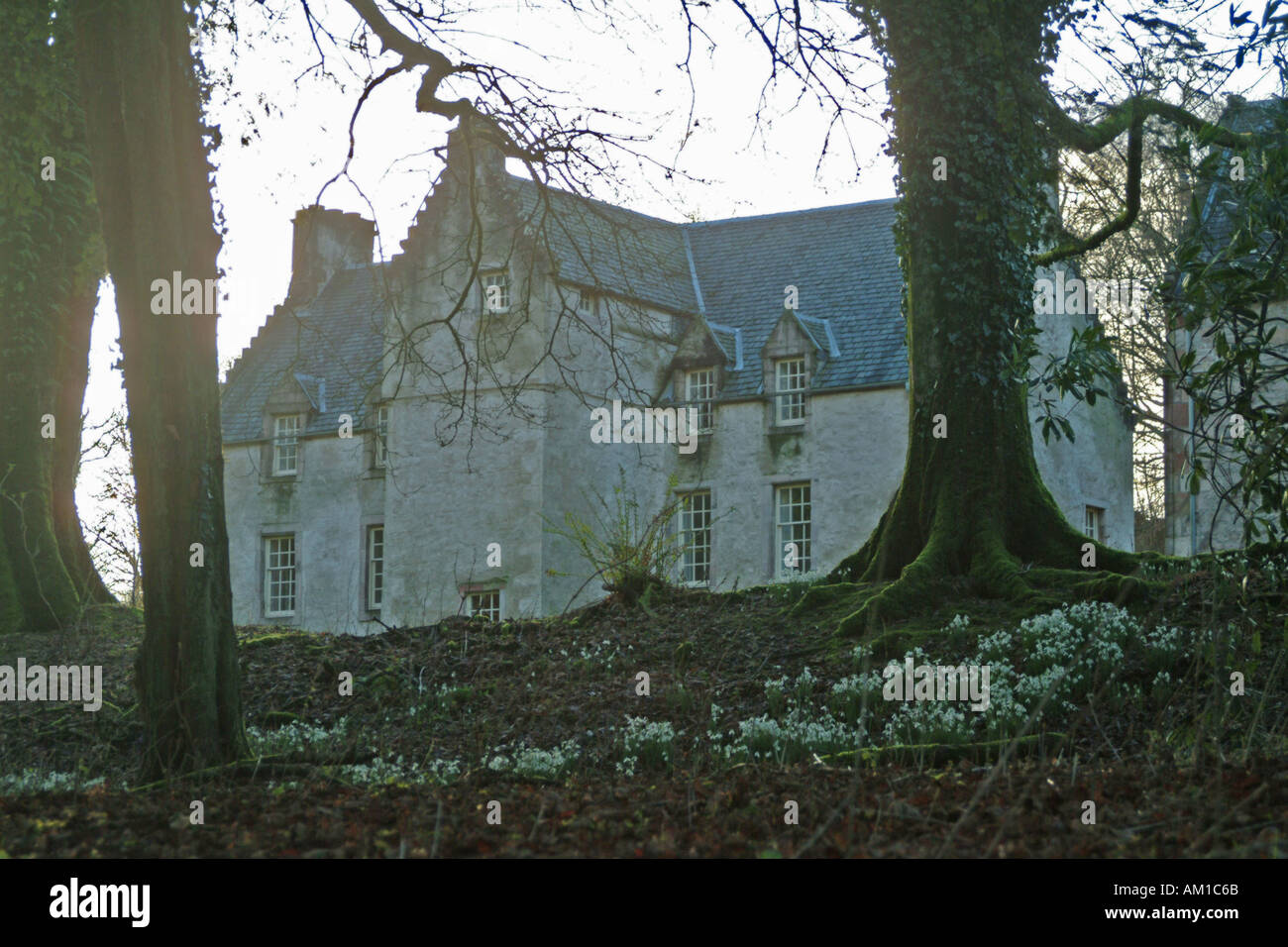 Ascog hi-res stock photography and images - Alamy