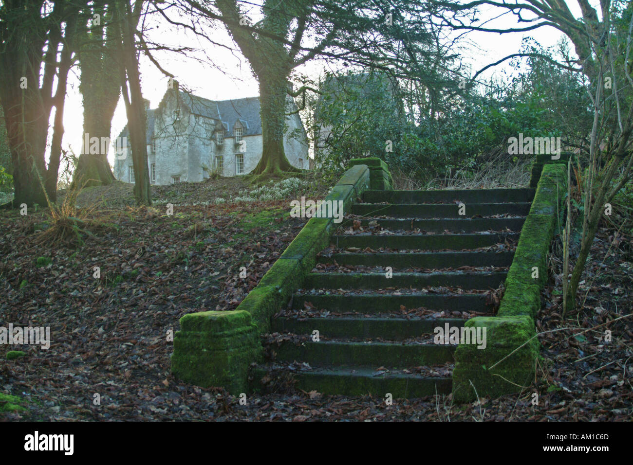 Ascog hi-res stock photography and images - Alamy