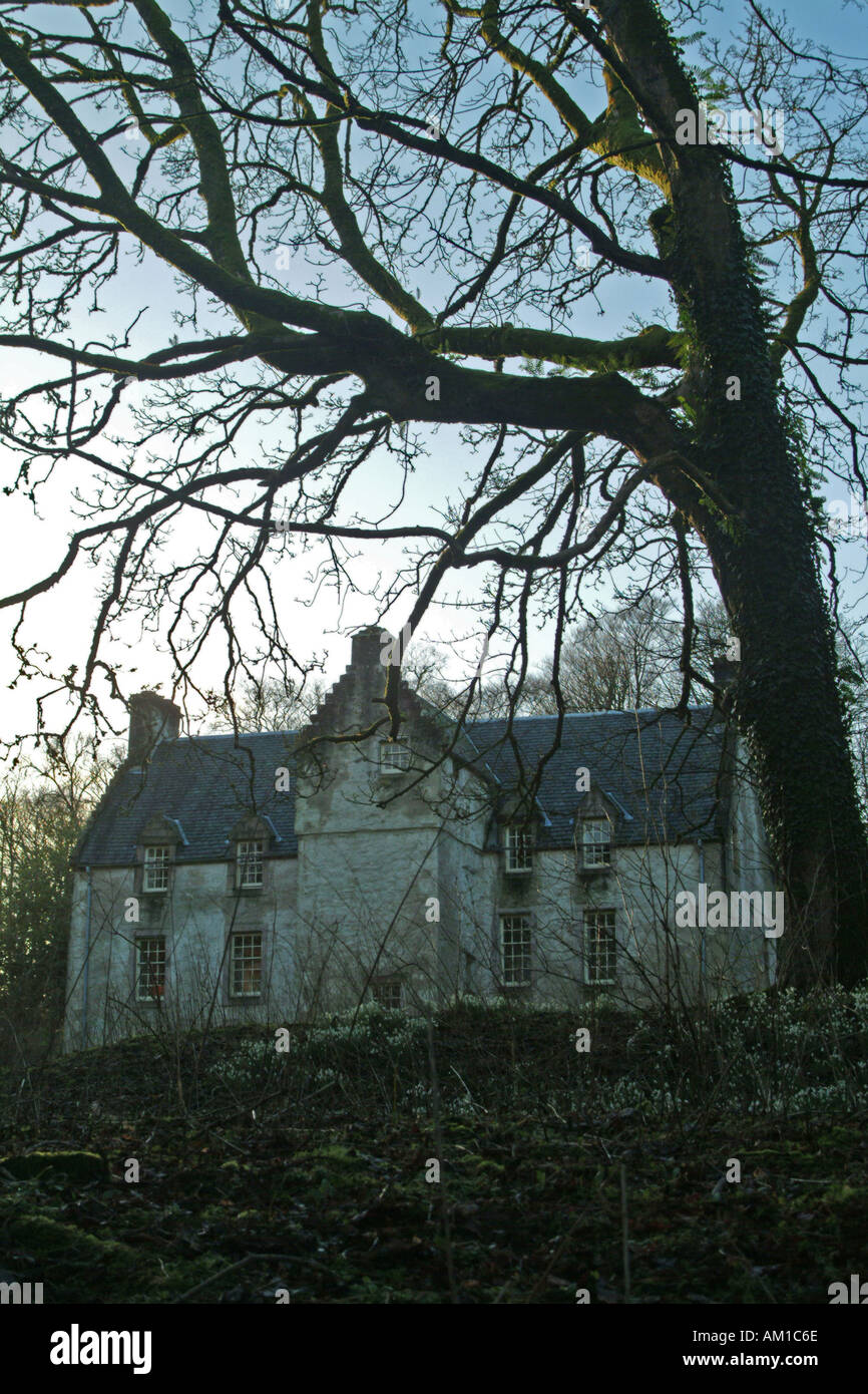 Ascog hi-res stock photography and images - Alamy