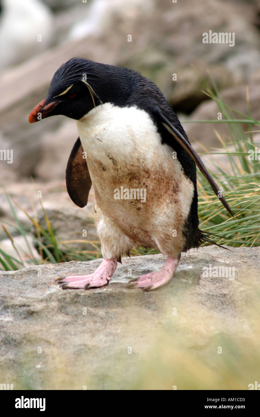 Joseph hopper hi-res stock photography and images - Alamy