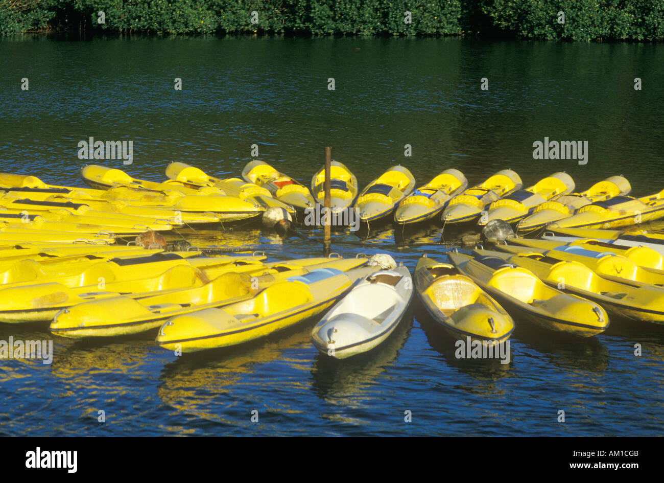 Circle of yellow Kayaks in water HI Stock Photo - Alamy