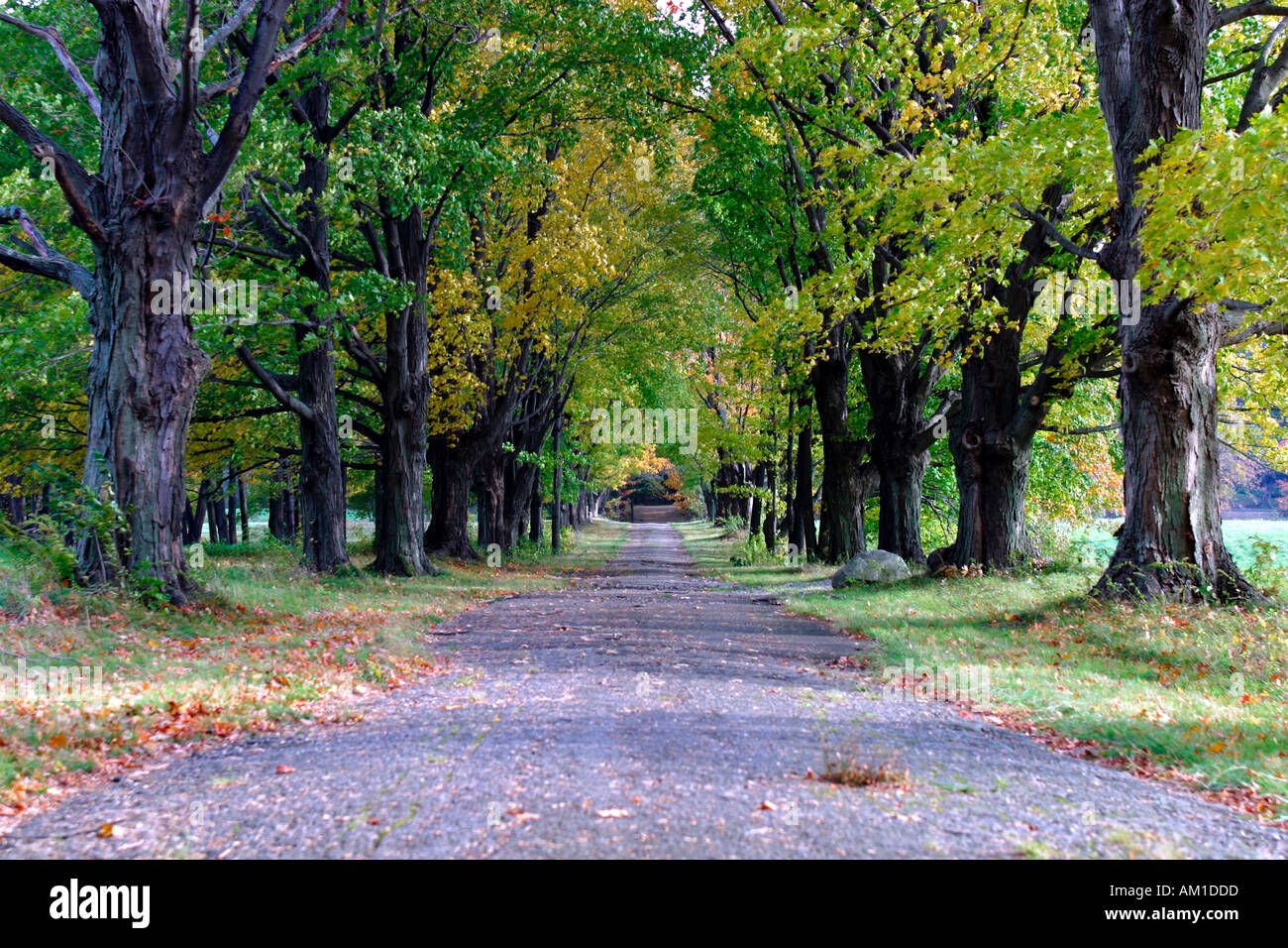 New coventry road hi-res stock photography and images - Alamy