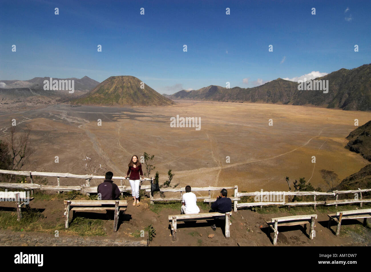 mount bromo volcanic landscape indonesia horizontal from above Stock ...