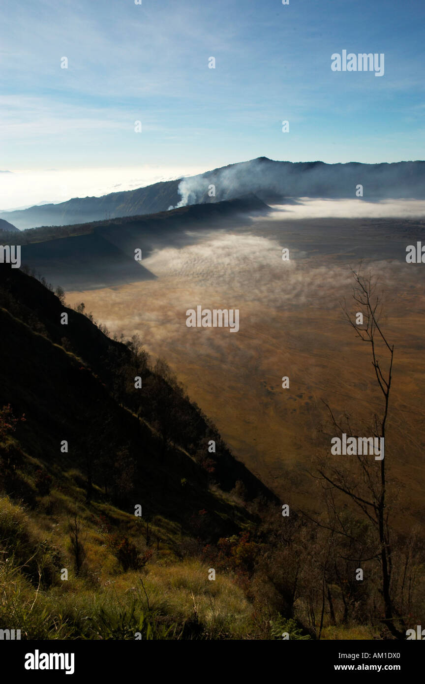 mount bromo volcanic landscape indonesia vertical from above Stock ...