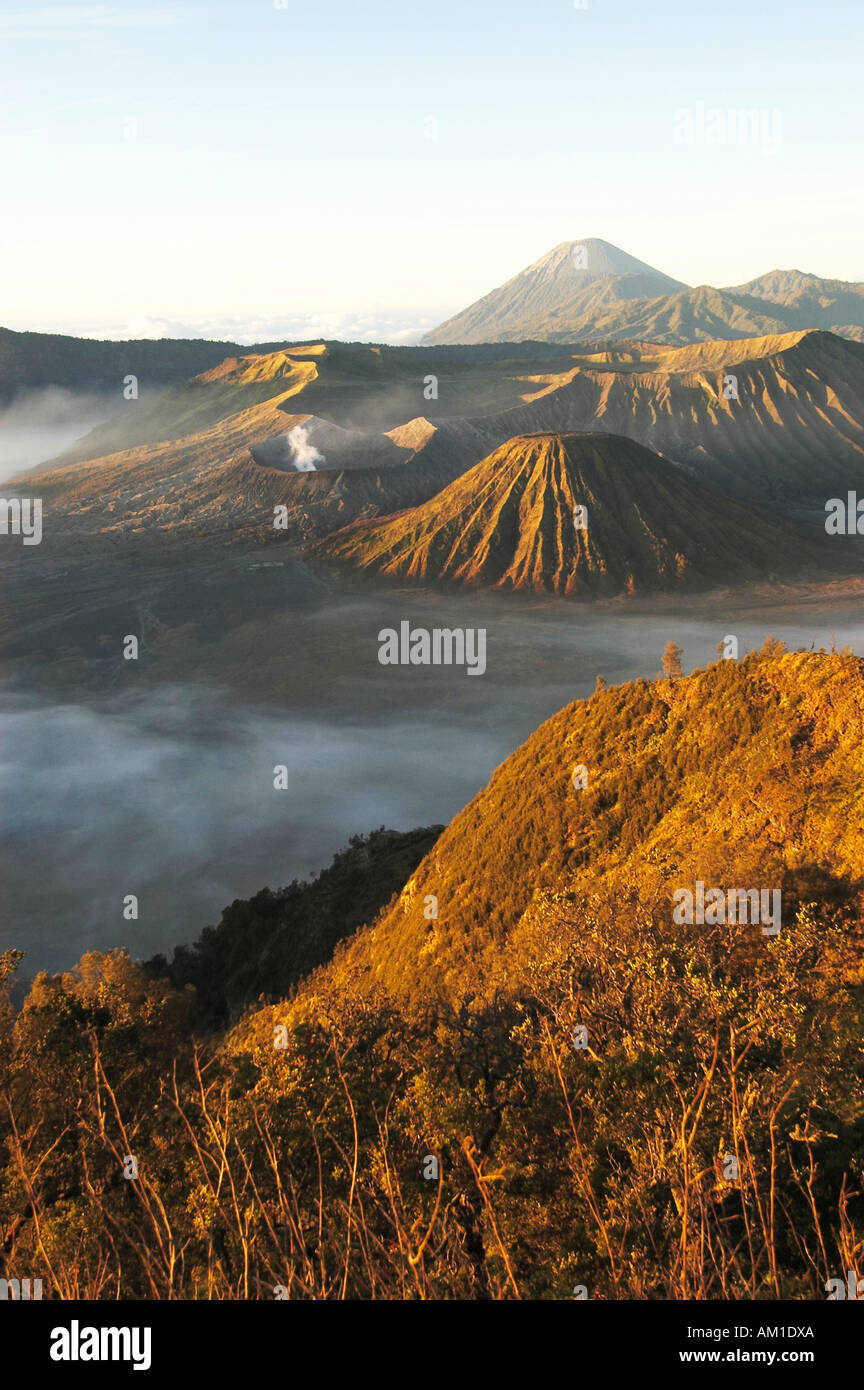 mount bromo volcanic landscape indonesia vertical from above Stock ...