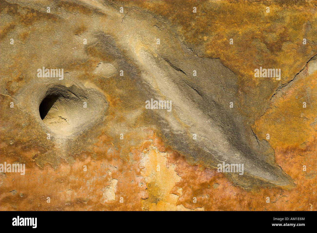 Detail of molasse rocks at the Ueberlingen seashore, Bodensee district ...