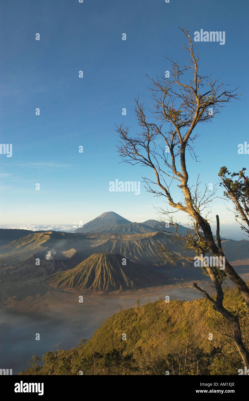 mount bromo volcanic landscape indonesia vertical from above pananjakan ...