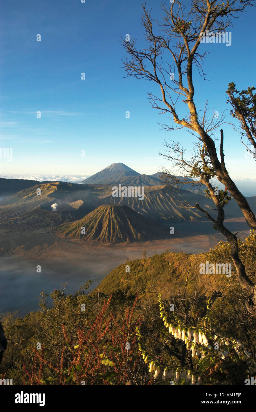 mount bromo volcanic landscape indonesia vertical from above pananjakan ...