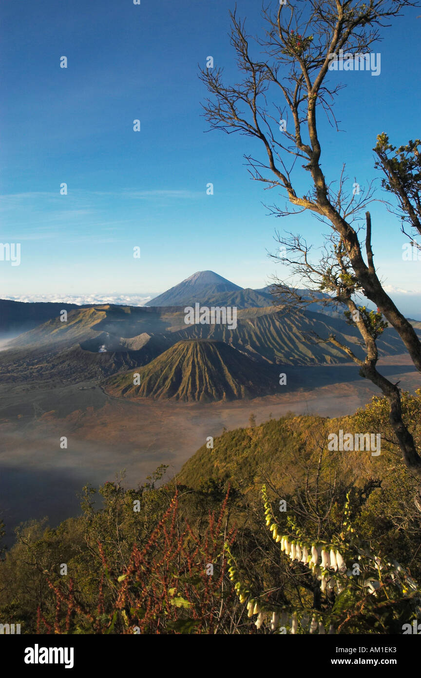 mount bromo volcanic landscape indonesia vertical from above pananjakan ...
