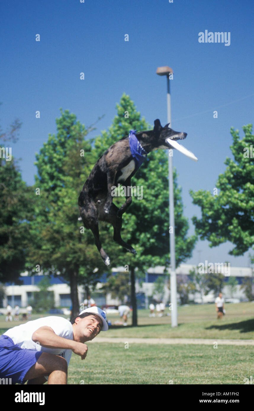 Dog man playing frisbee in hi-res stock photography and images - Alamy