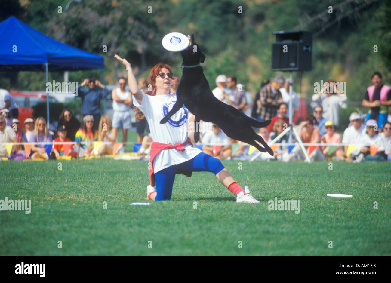 Dog and Woman participating in World Championship Semi Finals of Canine ...