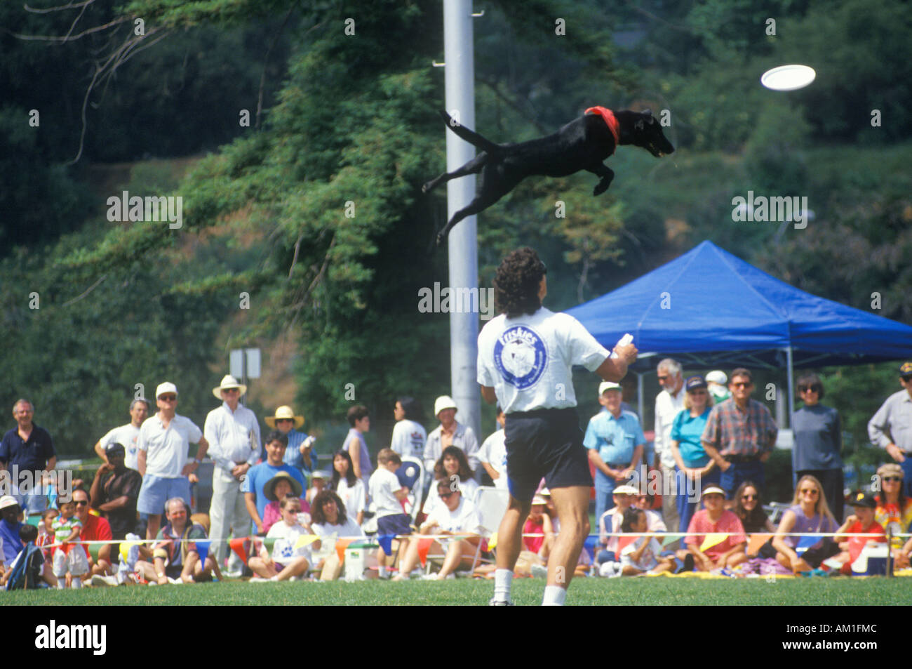 Dog and Man participating in World Championship Semi Finals of Canine ...