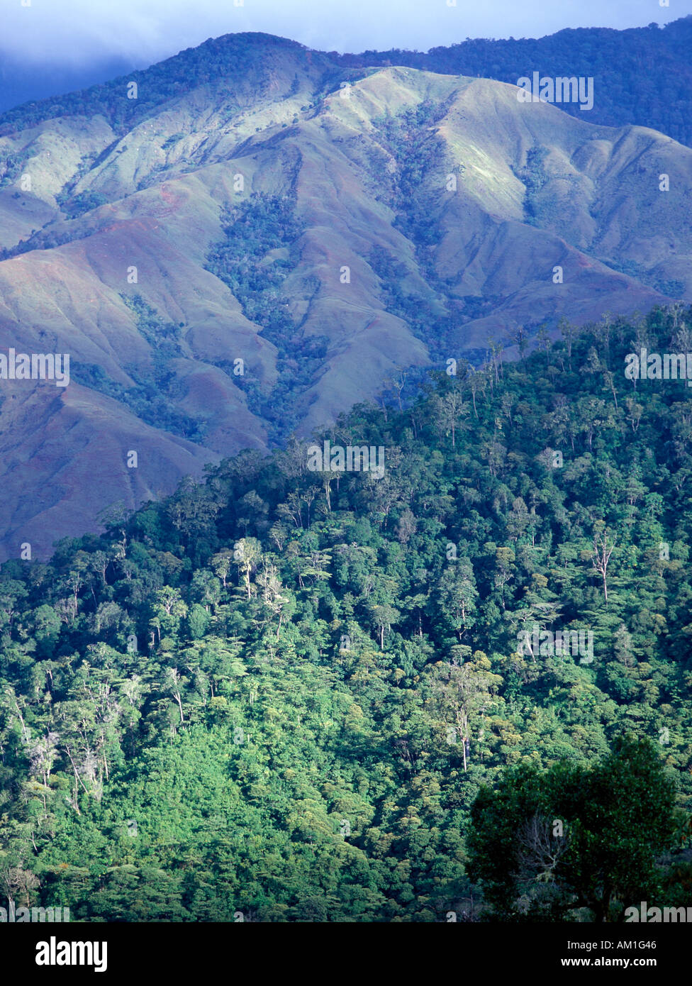 Durika Costa Rica High Resolution Stock Photography and Images - Alamy
