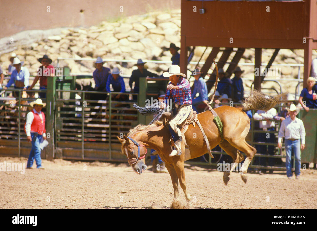 Bronco riding Inter Tribal Ceremonial Indian Rodeo Gallup NM Stock ...