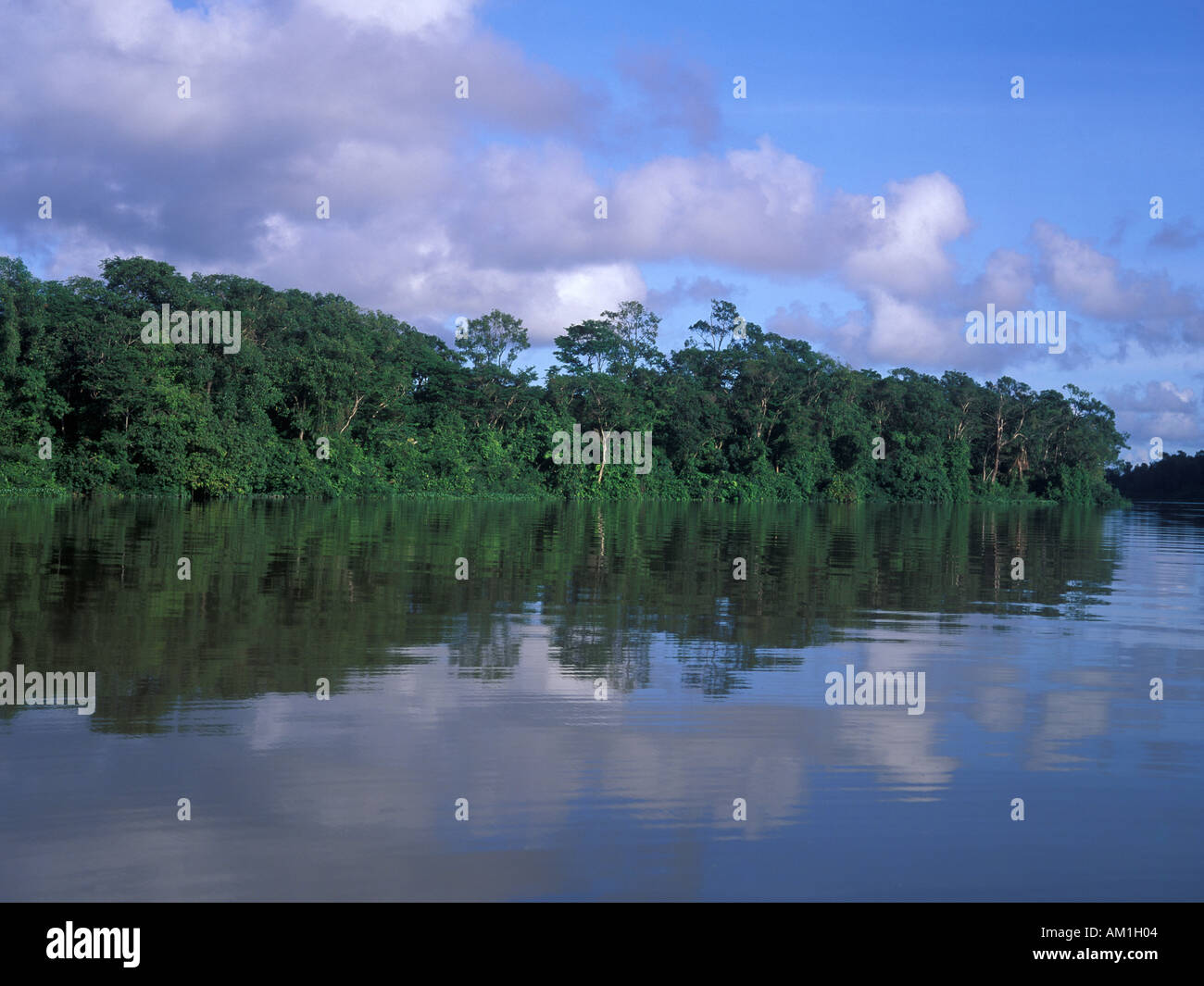 Tropical Rainforest with Cumulus Clouds Reflected in Wetland Orinoco ...