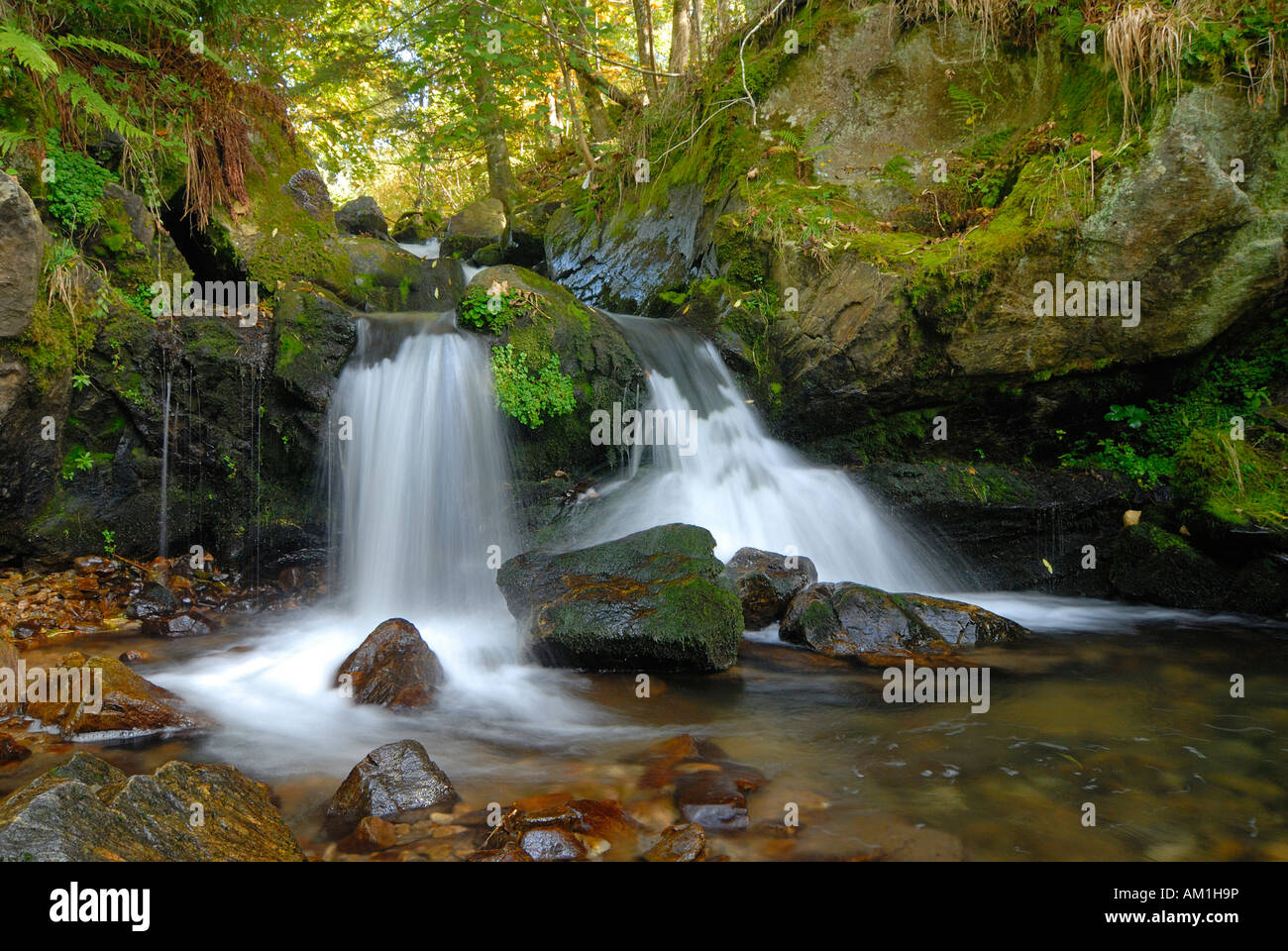 Creek natur black forest water stone hi-res stock photography and ...