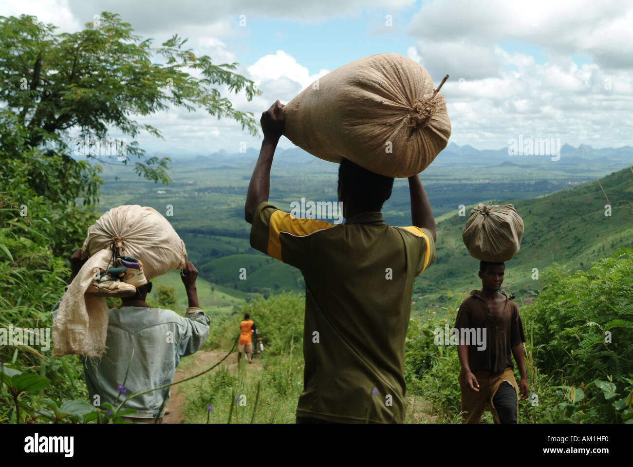 Farmers carrying crops on their heads to market on the lower hills of ...